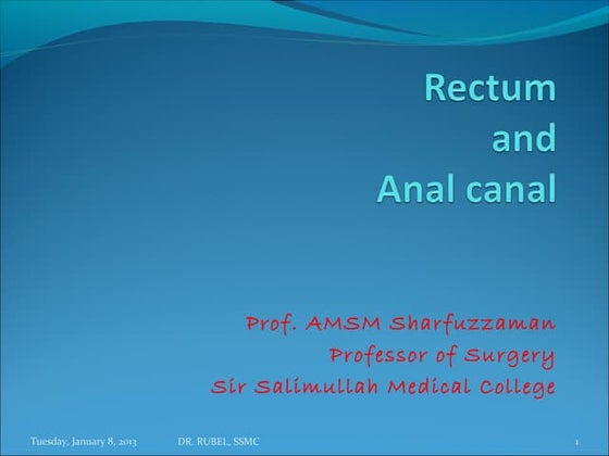 Anatomy of Rectum | PPTX