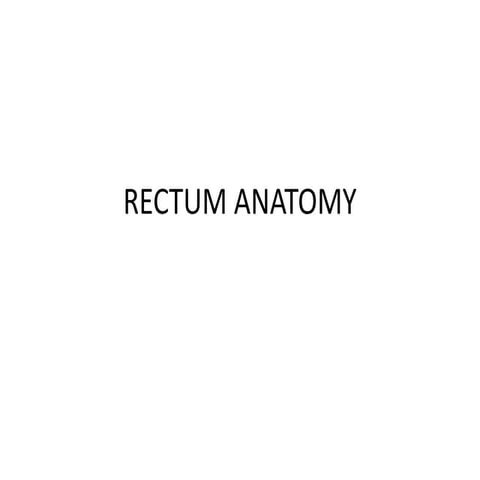 Rectum anatomy | PPTX