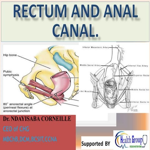 Rectum & Anal Canal.pptx