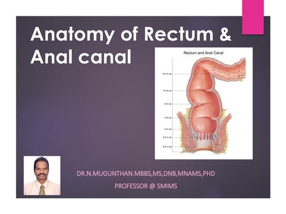 Ligaments of female genital tract .pptx