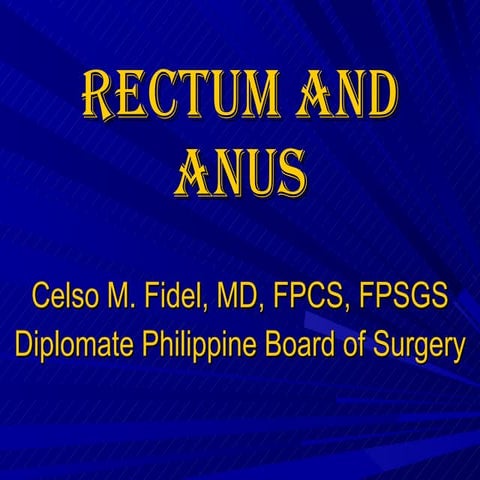 Rectum And Anus Ppt