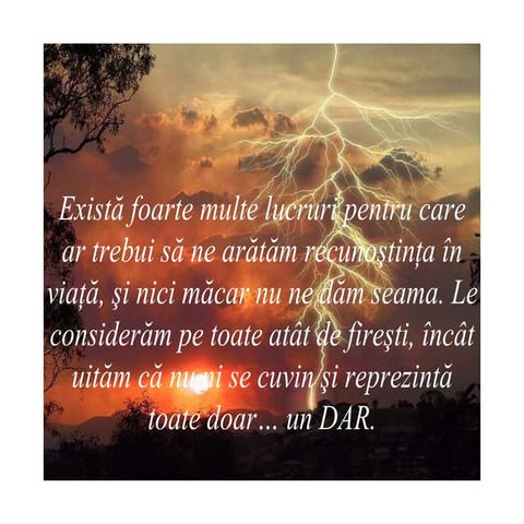 Recunostinta in viata | PPS