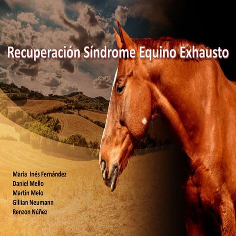 Recuperación Síndrome Equino Exhausto (Presentacion).pptx