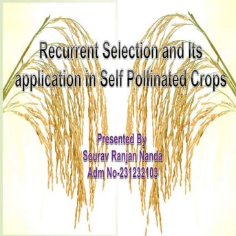 recurrent selection and its application in self pollinated crop.pptx ...