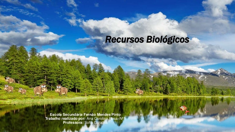 Recursos Biológicos - Aconsa