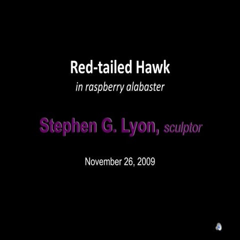 Red-tailed Hawk | PPSX