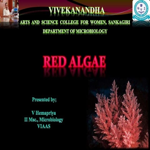Red Algae Characters And Types With Diagram Red Algae | Marine,