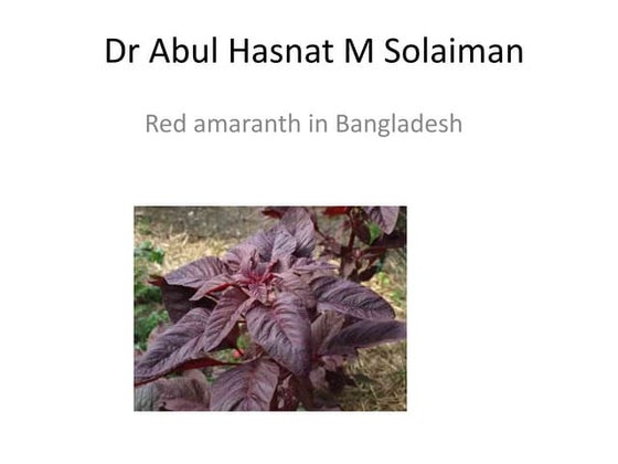 Abul hasnat m solaiman | DOCX