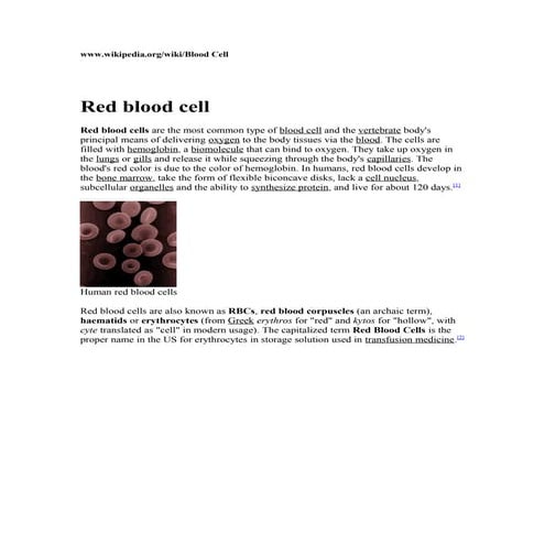 Red Blood Cell | DOC
