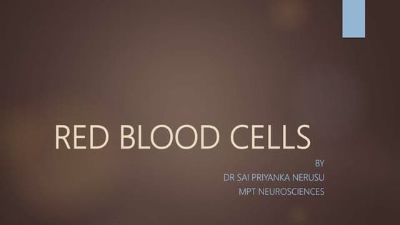 Red blood cell formation and fate of RBC | PDF