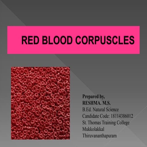 Red blood corpuscles class 9 | PPTX