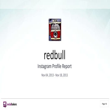 Instagram Sample Report | PPT