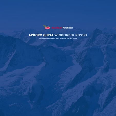 Redbull wingfinder report | PDF
