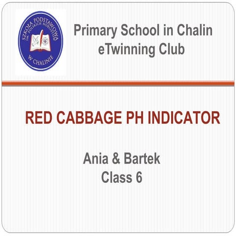 Red cabbage ph indicator | PPT