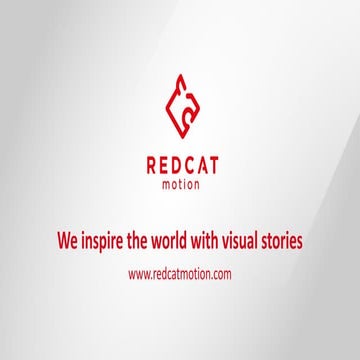 Red Cat Motion's Business Profile 2017 | PPT