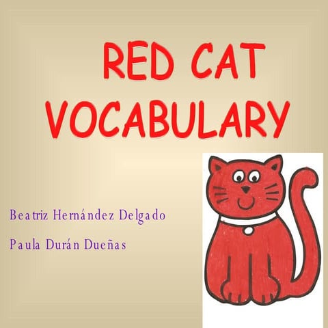 Red Cat Vocabulary 1211187103382517 9 | PPT