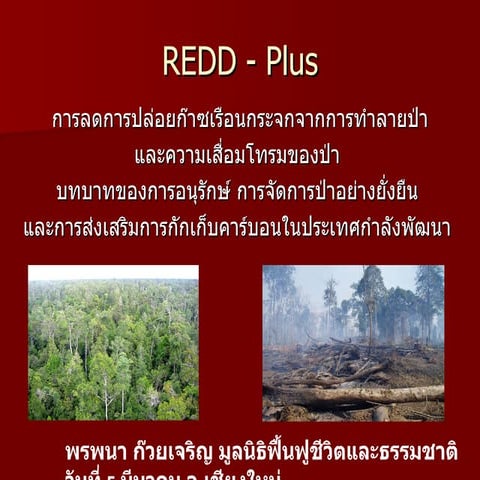 Redd Plus เชียงใหม่ 5 มี ค 2553 | PPT
