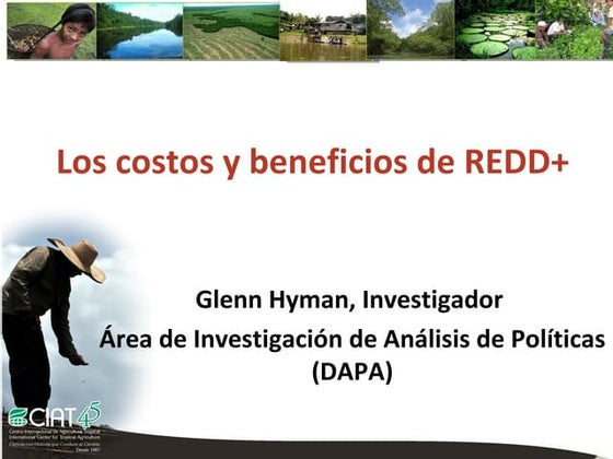 Cincia research-brief-1-three-decades-of-deforestation | PDF