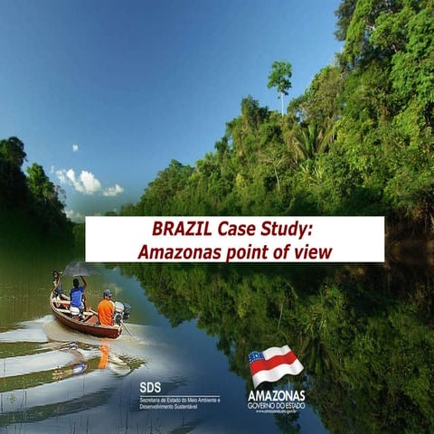 Amazonas Natalie | PPT