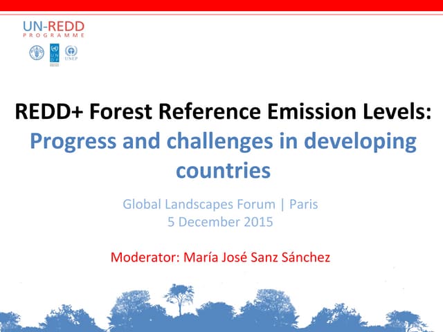 Redd+ forest reference emission levels progress and challenges in ...