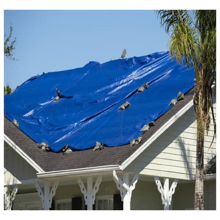 The structure of a building is jeopardized by untreated water leaks ...