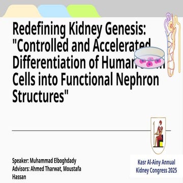 Controlled and Accelerated Differentiation of Human Stem Cells into Functional Nephron ...