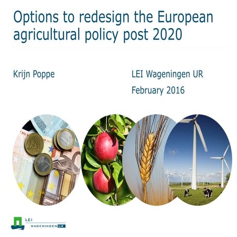 Redesigning the CAP | PDF