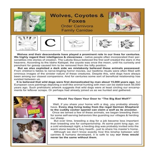 Red Fox and Gray Fox | PDF