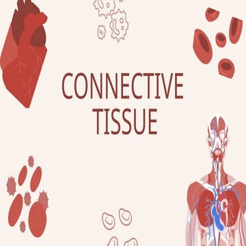 Red Human Blood Vessels System Biology Presentation.pptx