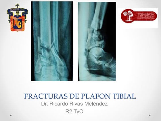 floristry presentation | PPT