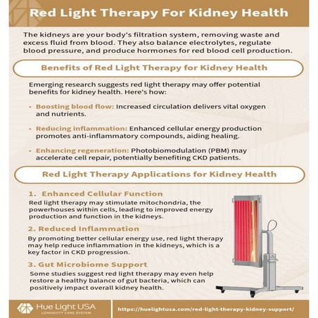 How Red Light Therapy Supports the Kidneys (Research Review) | PDF