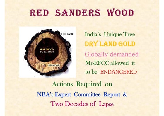 Conservation Of Endangered Tree Species Of India by RPG.pdf