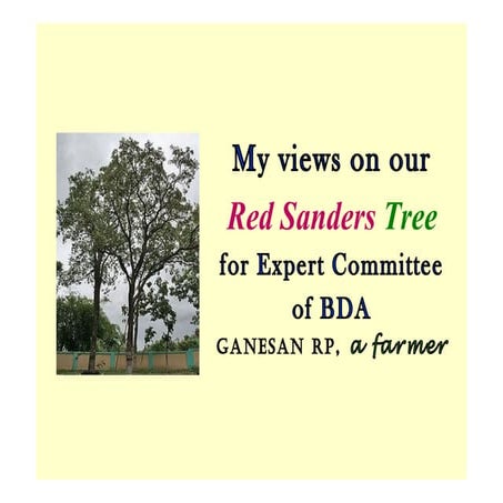 Red Sanders Facts Presented to NBA 10.10.2016