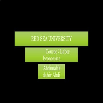 RED SEA University Labor Economics.pptx