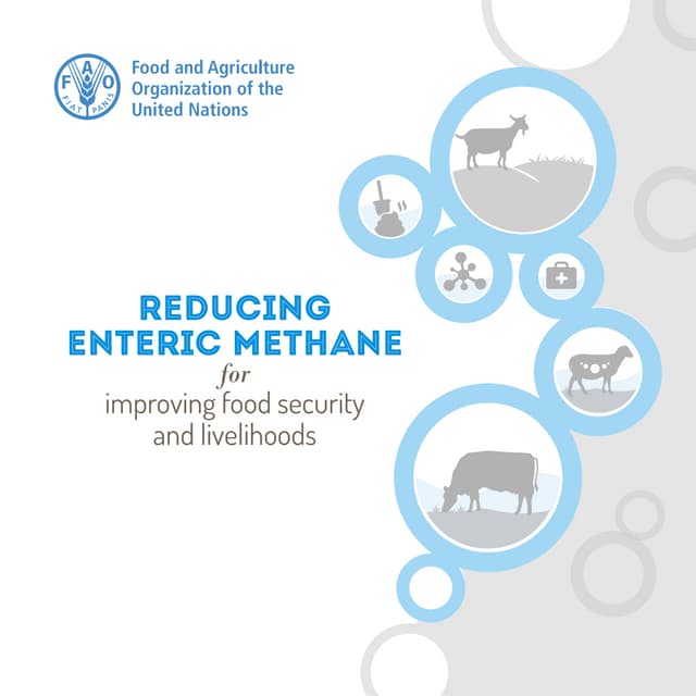 Reducing enteric methane for improving food security and livelihoods | PDF