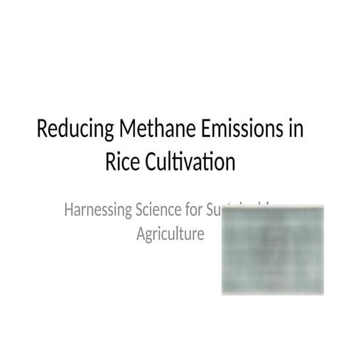 Reducing_Methane_Rice_Presentation_With_Infographic.pptx