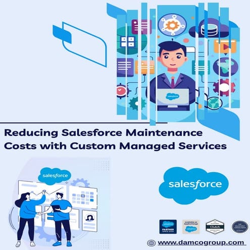 Reducing Salesforce Maintenance Costs with Custom Managed Services | PDF
