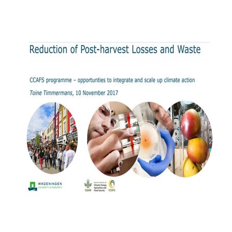 Reduction of Post-Harvest Food Losses and Waste | PDF