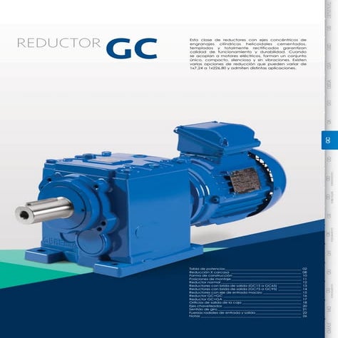 Reductor linea-gc | PDF