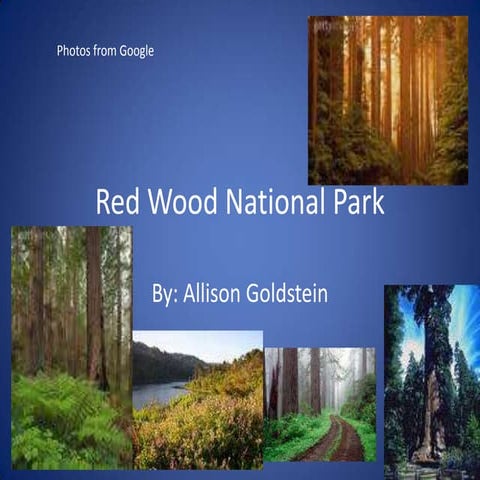 National Park Research | PPTX | Outdoor Attractions | Attractions