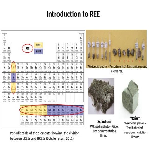 REE Extration.pptx Ni extraction. pptx ppt presentation | PPTX