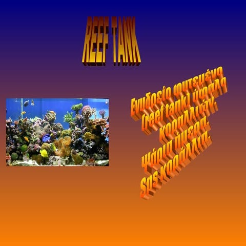 Reef Tank | PPT