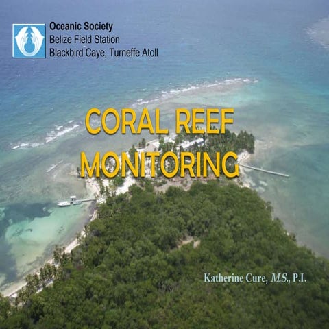 Reef Check HK Presentation | PPT