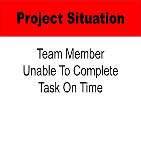 Project Situation | PPTX | Business | Business and Finance