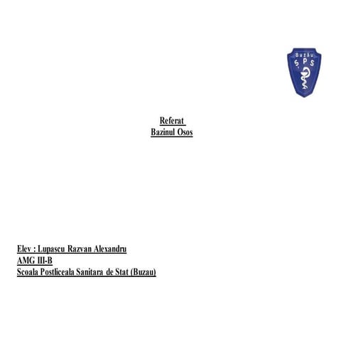 Referat - Bazinul Osos.docx