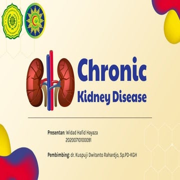 This Referat is about Chronic Kidney Disease | PPTX