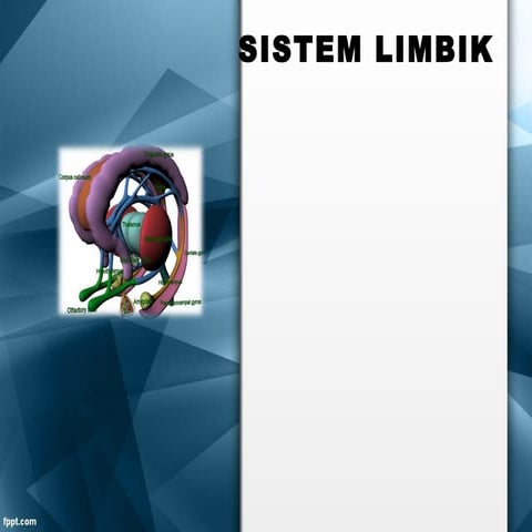 Referat sistem limbik | PPT