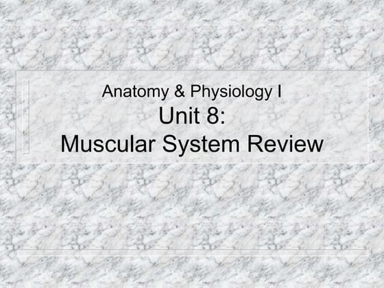 Muscle Types: Skeletal, Smooth, and Cardiac | PPT
