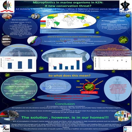 Microplastic Pollution - Presentation | PPTX