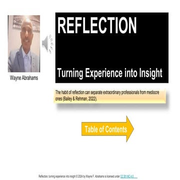 Reflecting, turning experience into insight | PPT